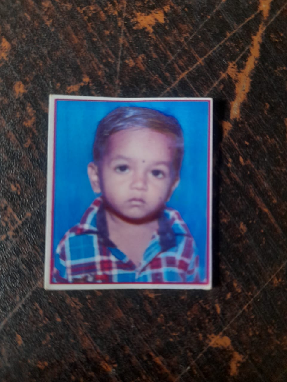 Little Star English School & Jr. College